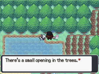 Hidden Grotto - The Pokemon Insurgence Wiki